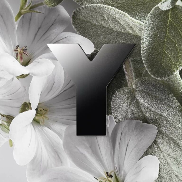 Yves Saint Laurent Y For Men Eau De Perfume 100ml – Branded Fragrance India